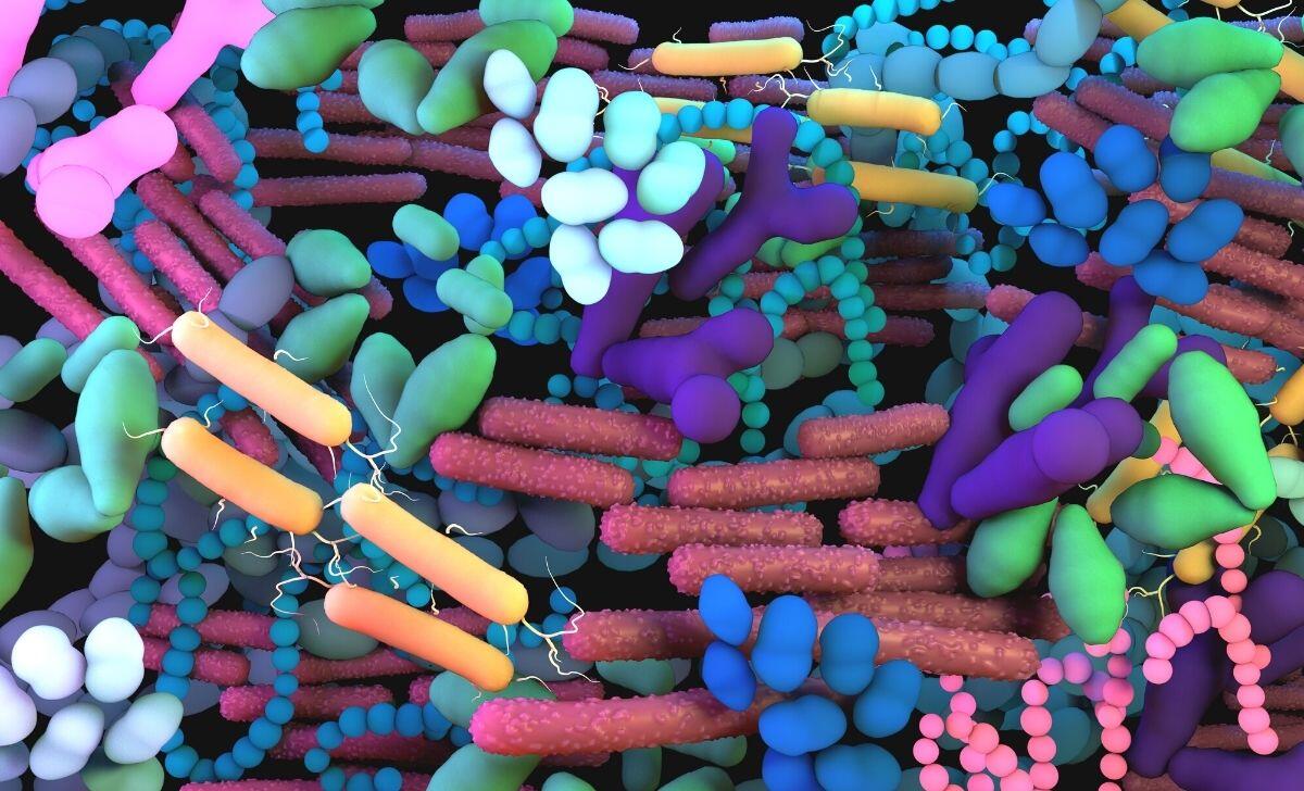 7 Benefits of Butyrate on the Microbiome - SSRP Institute